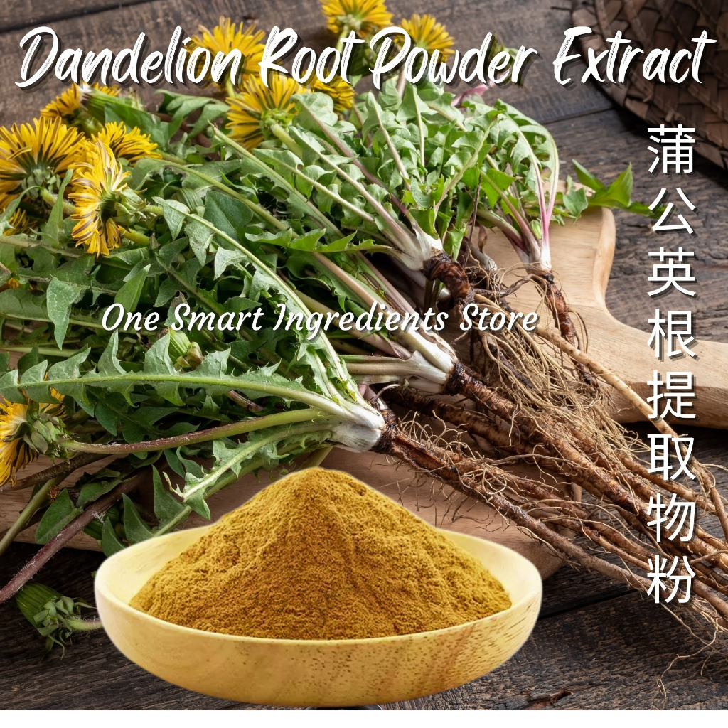 Dandelion Root Extract Powder 蒲公英根粉 ekstrak serbuk akar dandelion ...