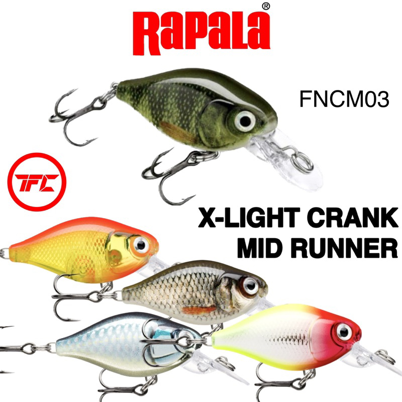 RAPALA X-Light Crank 03 Mid Runner Lure Bait FNCM03 FNCM-3 Ultralight ...