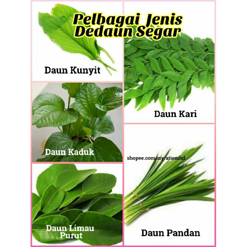Pelbagai Jenis Dedaun Segar Untuk Masakan | Shopee Malaysia
