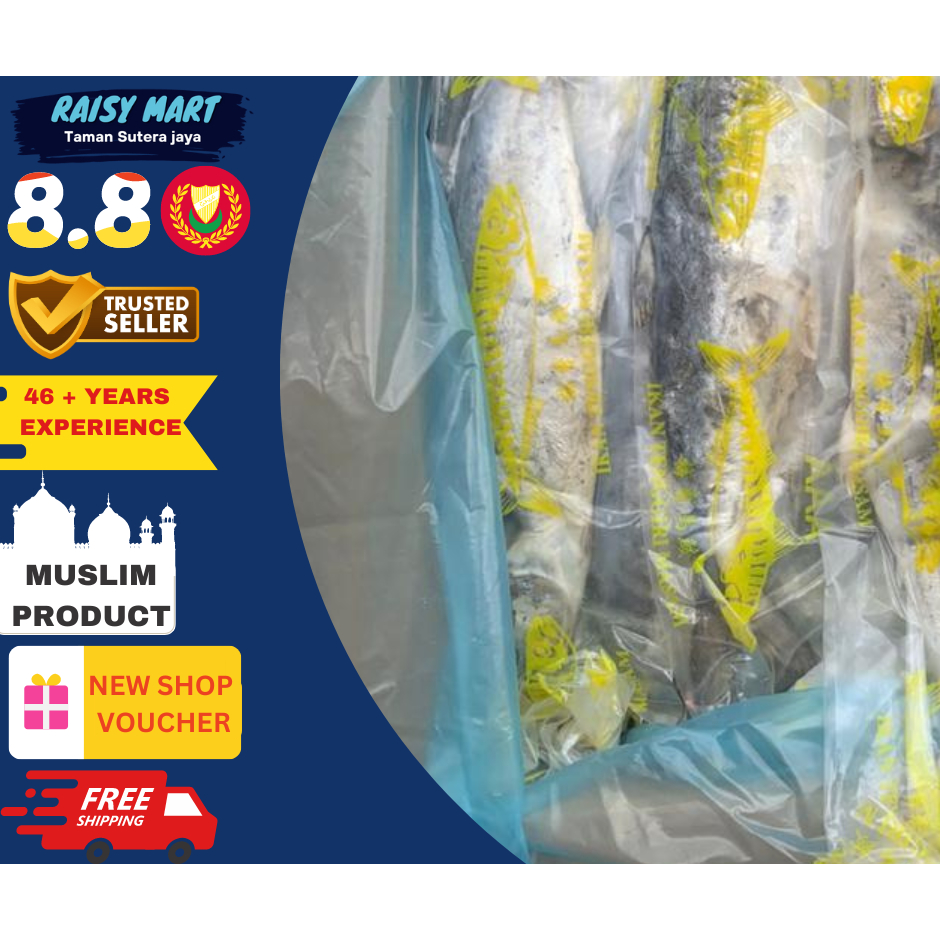 RAISY - Ikan Masin Tenggiri Gred A+ (Isi shj ) | Shopee Malaysia