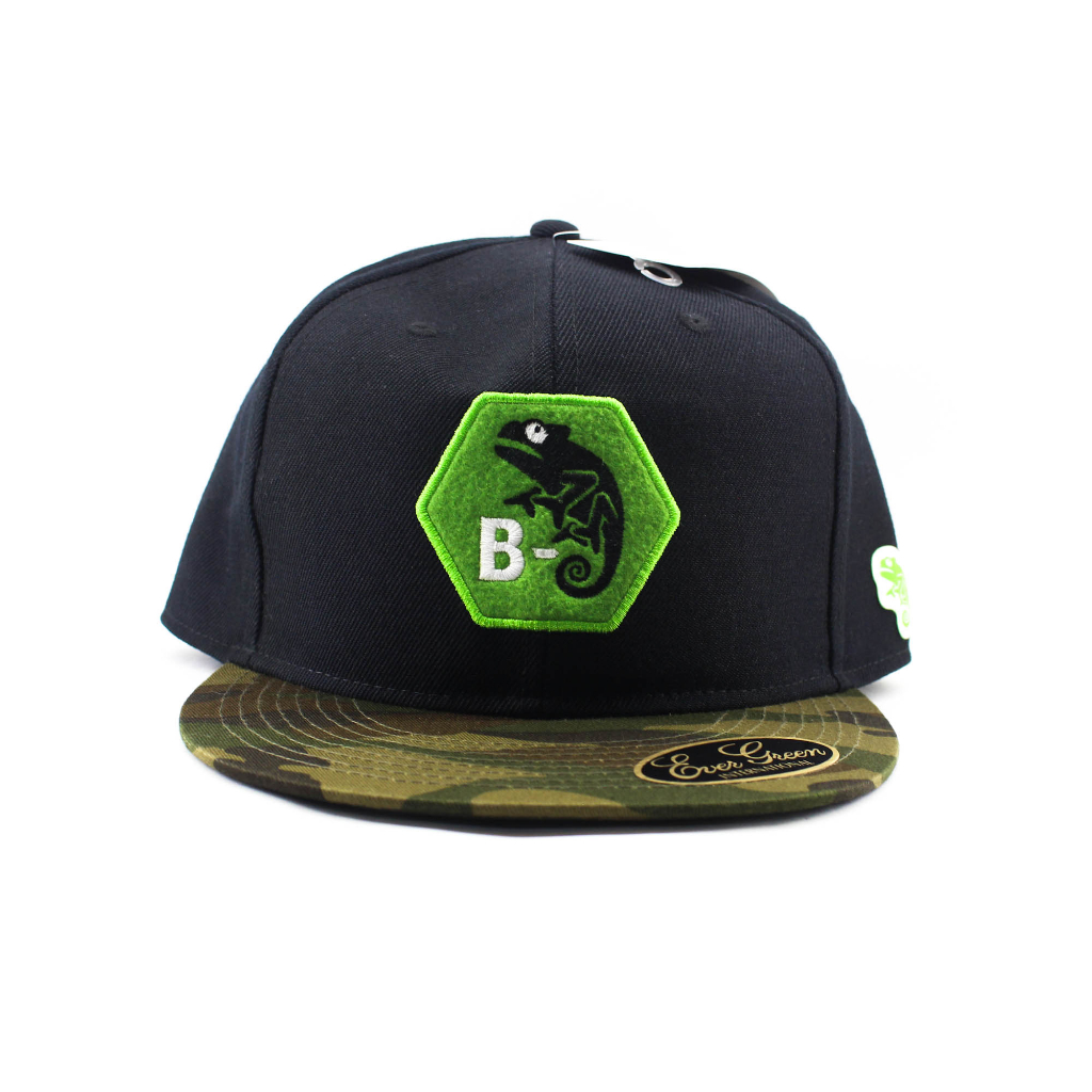 Evergreen Cap Flat Cap B-True Type C Japan Free | Shopee Malaysia