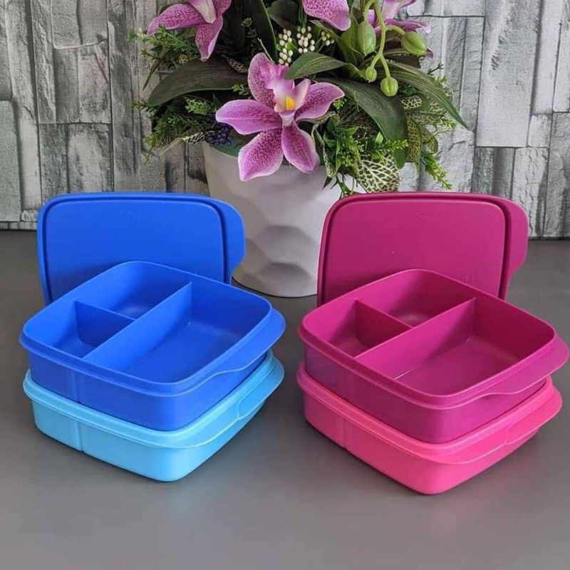READY STOCK! Bekas Bento Tupperware: Lollitup | Shopee Malaysia