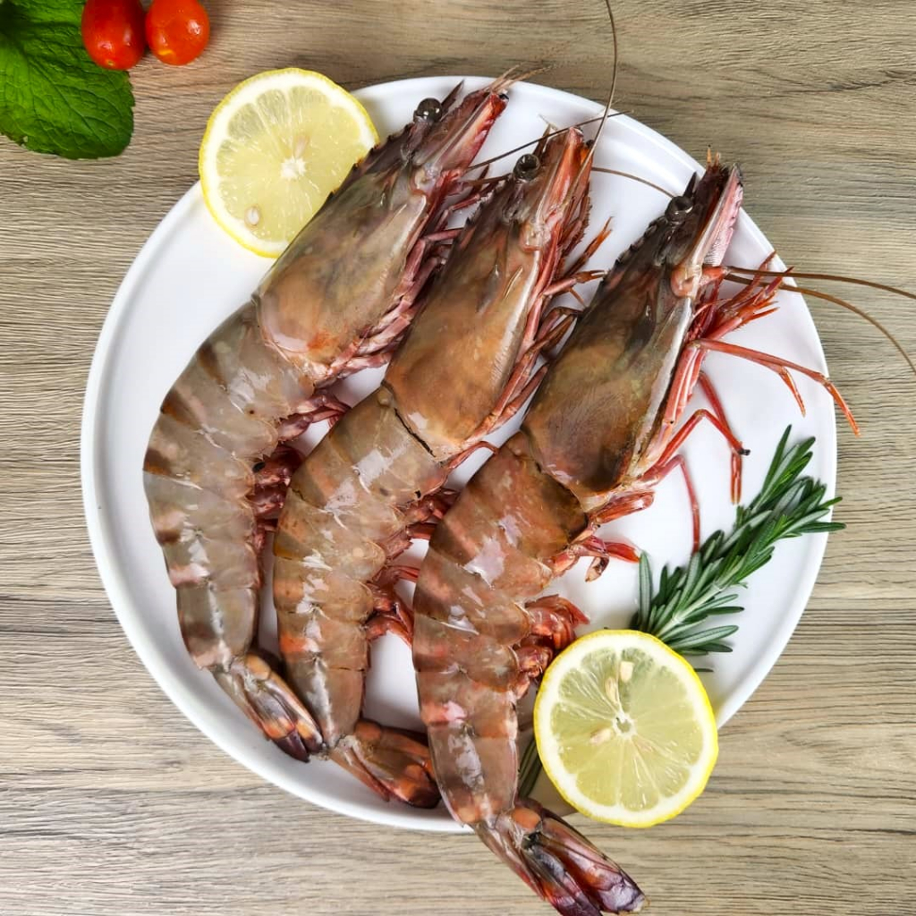 Sabah Deep Sea Tiger Prawn 沙巴深海老虎虾 | Shopee Malaysia