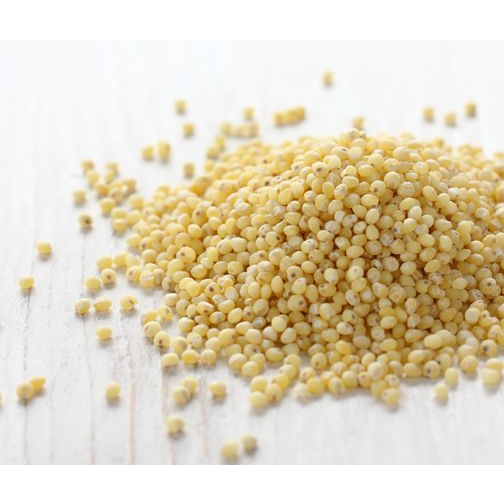 organic foxtail millet biji millet (Setaria italica syn Panicum ...