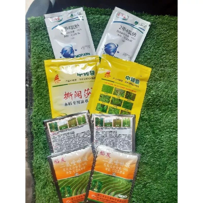 SET 1RELONG! racun rumput dalam bendang..rumput lembut /rumput keras ...