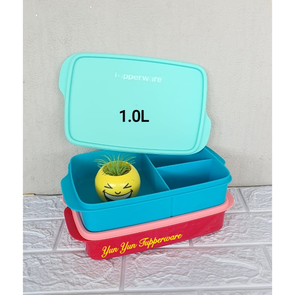 Tupperware Jollitup Lunch Box (1 PC) 1.0L with Divider - Turquoise ...