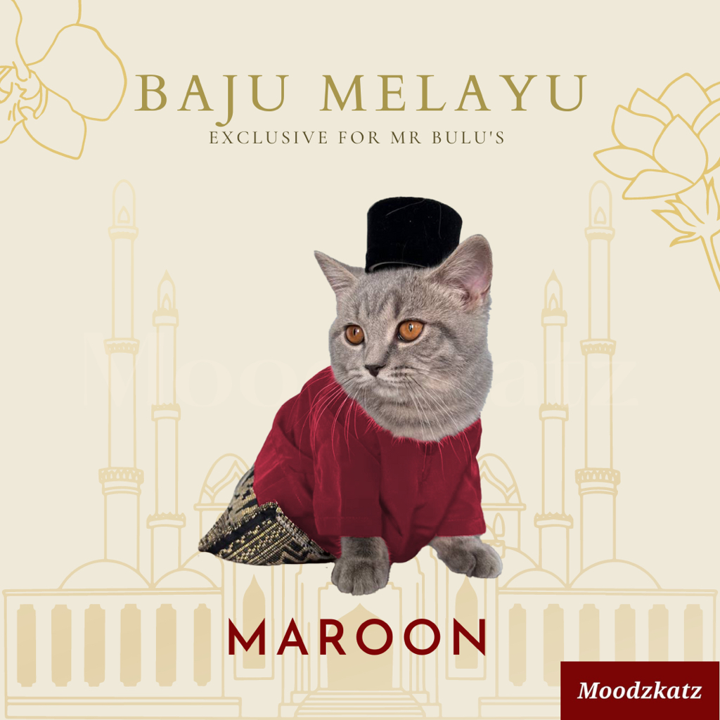[Ready Stock Raya 2025] Baju Raya Baju Melayu Kucing Teluk Belanga ...