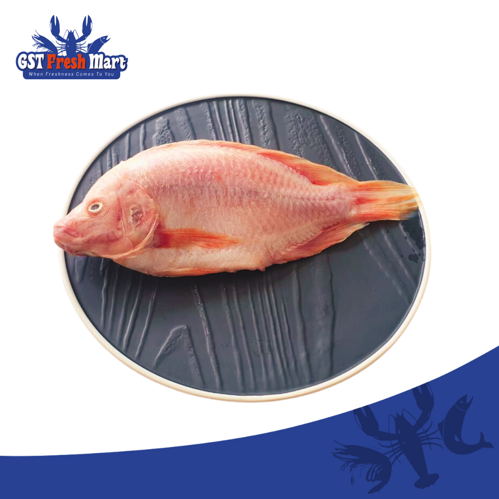 FROZEN RED TILAPIA FISH CLEANED 冷冻(清肚)红罗非鱼 - GST FRESH MART | Shopee ...