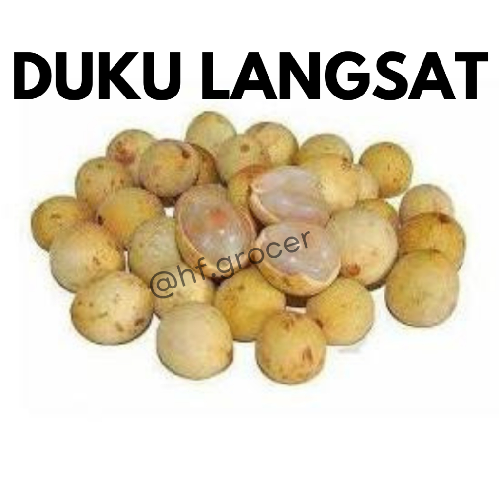 Duku Langsat | Dokong (1 kg) Seasonal Fresh Fruits | Shopee Malaysia