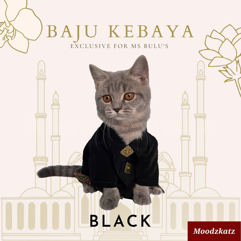 [Ready Stock Raya 2025] Baju Raya , Baju Kebaya Kucing + Kain Batik ...
