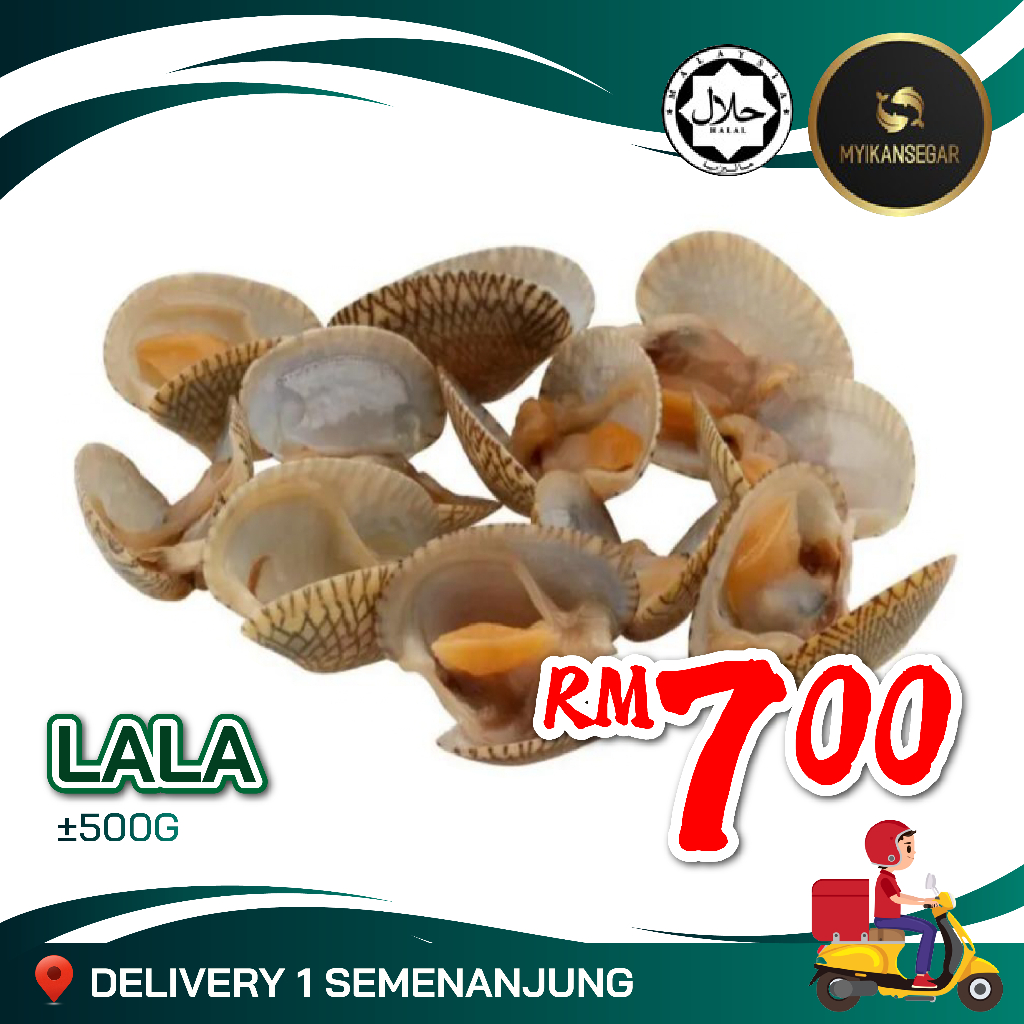 LALA 500G/1KG LALA FROZEN FOOD LALA SEAFOOD FROZEN Shellfish soft clam ...