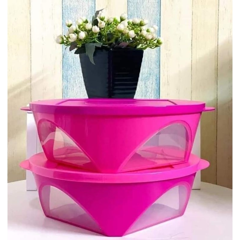 Tupperware Outdoor Dining Bowl 2.5L (2 pcs) | Shopee Malaysia
