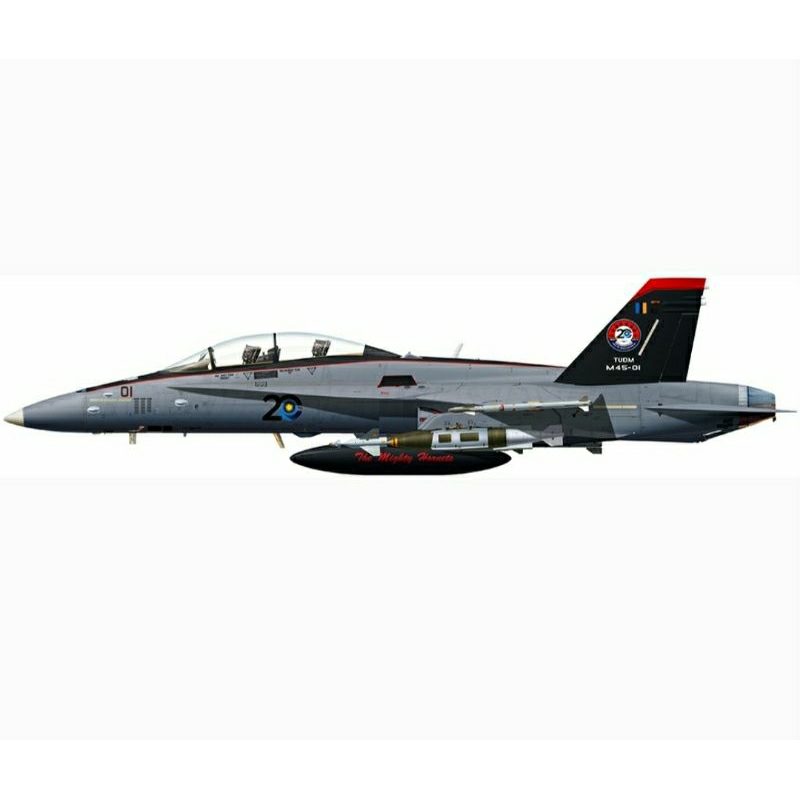 F/A-18D Hornet 1/48 Hobby boss TUDM RMAF model F-18D | Shopee Malaysia