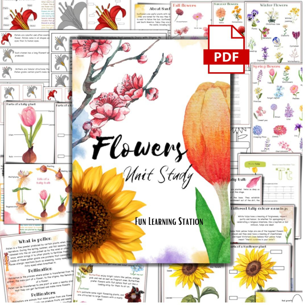 (PDF) Flower Unit Study I Kindergarten Learning Binder I Nature Study ...