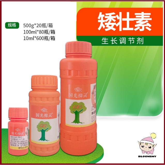 *BloomsMY* Chlormequat Chlorophyll/ Ubat Hormon Pokok/ 矮壮素 防疯长徒长倒伏 多效唑 ...