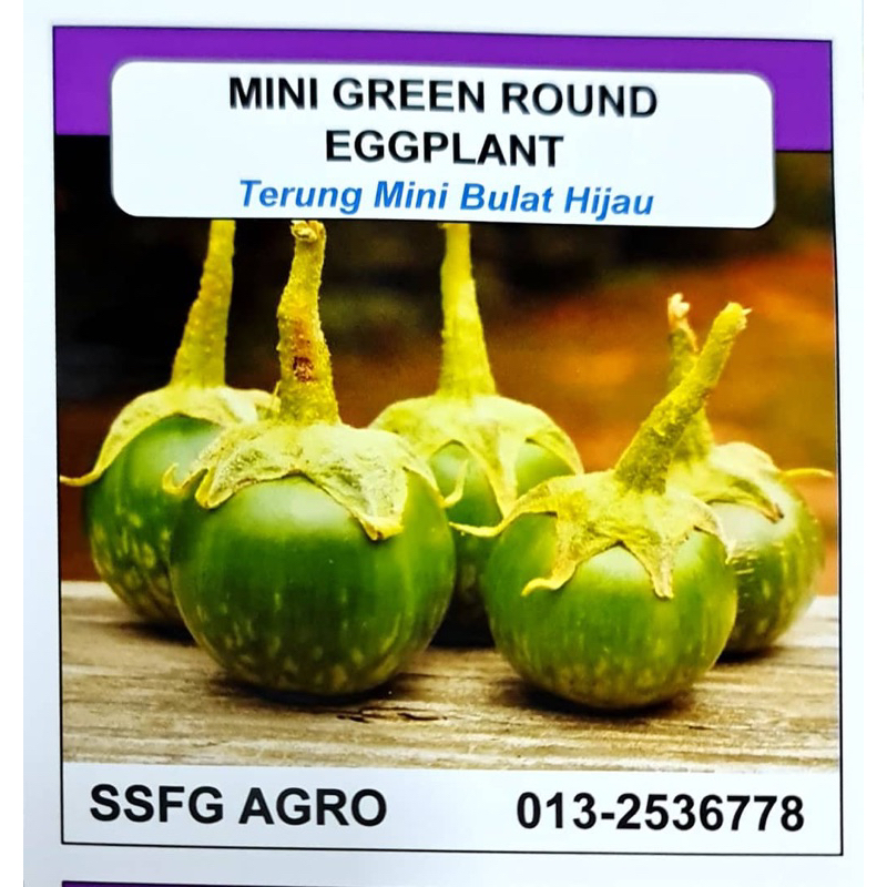 Biji Benih Terung Mini Bulat Hijau @ Mini Green Round Eggplant (30 Biji ...