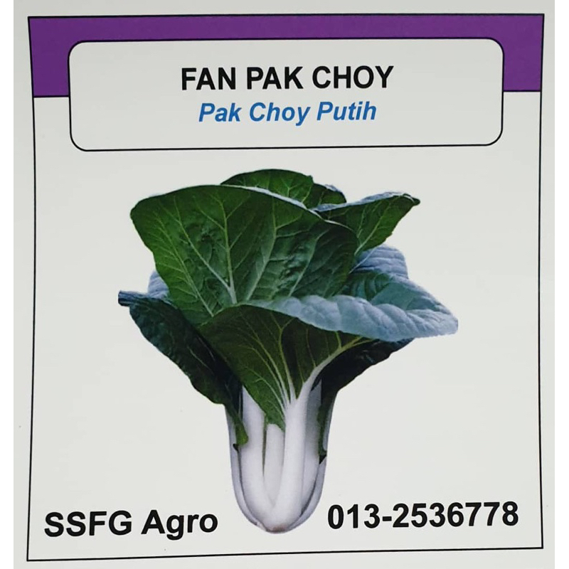 FAN PAK CHOY @ PAK CHOY PUTIH (5 GRAMS) | Shopee Malaysia
