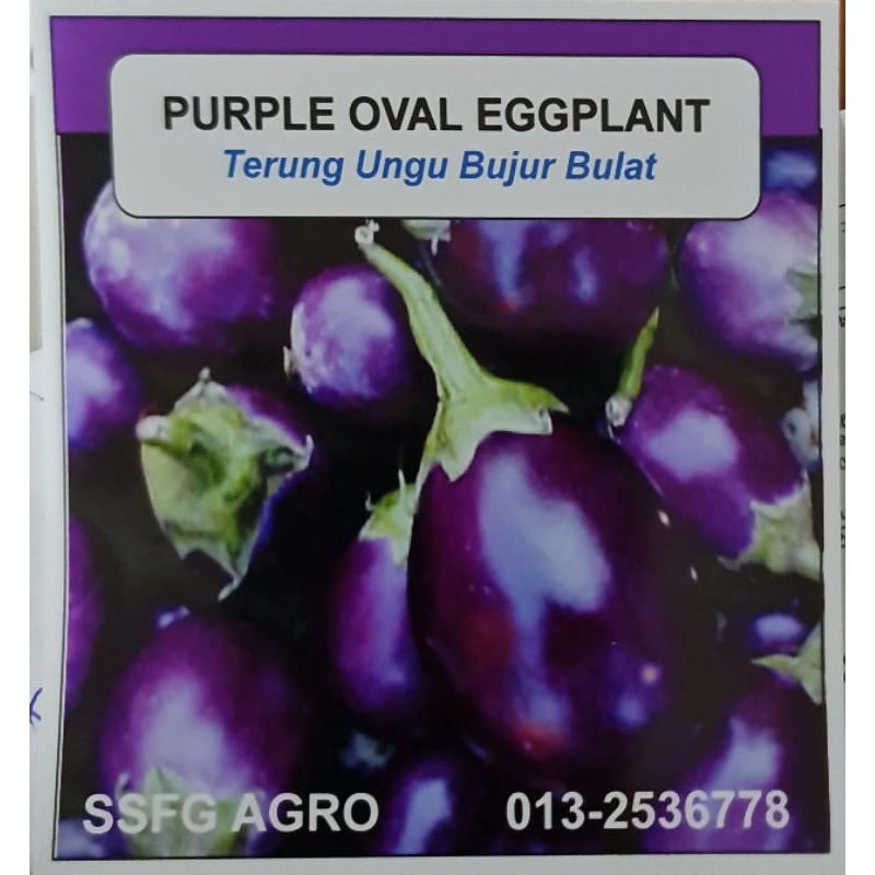 BENIH TERUNG UNGU BUJUR BULAT (20 BIJI) | Shopee Malaysia