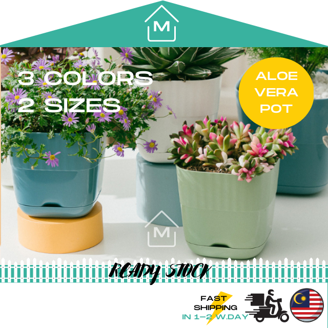 [WITH TRAY] Aloe Vera Style Plastic Home Deco Succulent Flower Pot ...