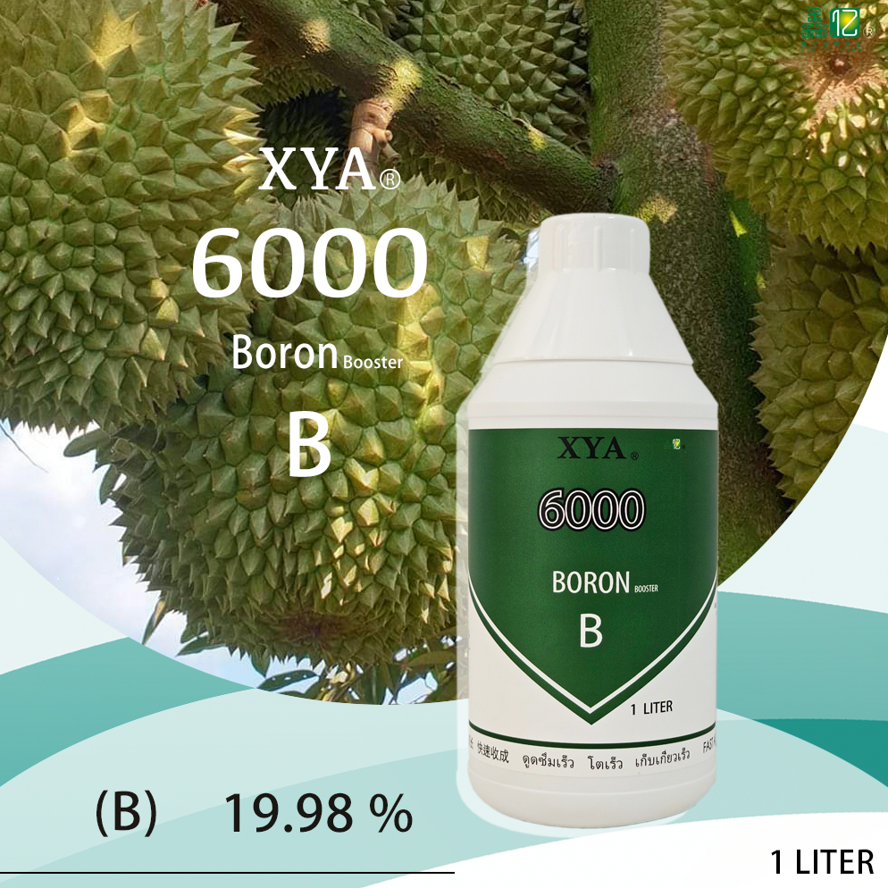 XYA 6000 (B) Boron Booster 1 LITER | Shopee Malaysia