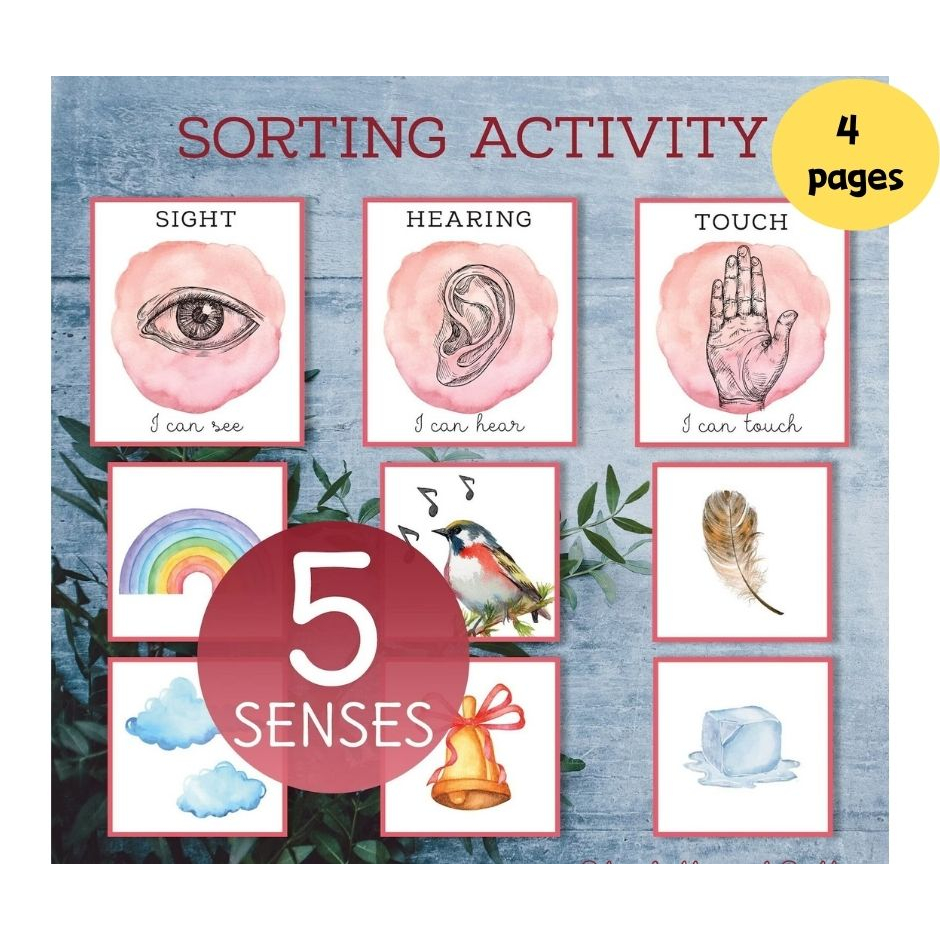 A243 – [PDF] Five senses sorting activity Busy Book 4 pages | Shopee ...