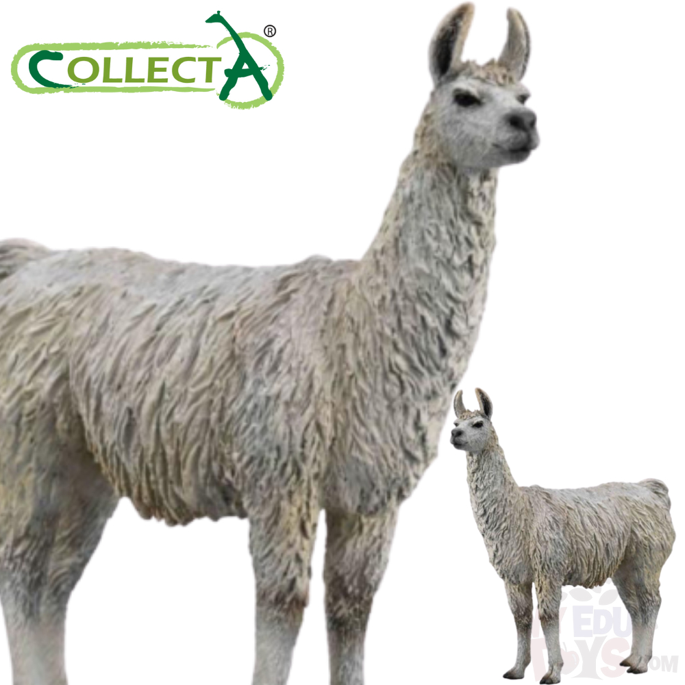 Llama - Collecta 88991 Farm Life Animal Action Figurine / Toy Figure ...