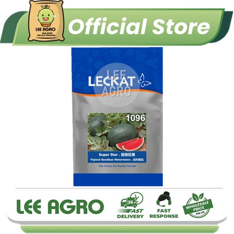 LECKAT 1096 Super Star Tembikai Merah Tanpa Biji SEEDS 100G F1 HYBRID Red WATERMELON Seed ...