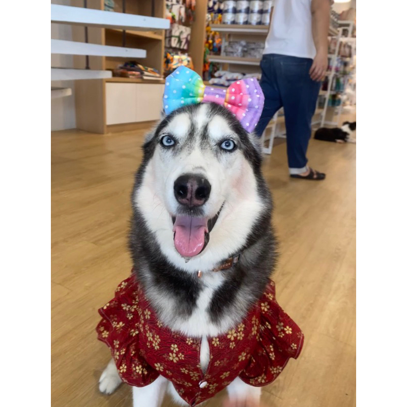 Adopt Ms Bailey free 貝莉莉原味毛毛 20gram | Shopee Malaysia