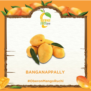 Banginapalli Mangoes Safeda Mangoes Indian Mangoes Malaysia - Sweet ...
