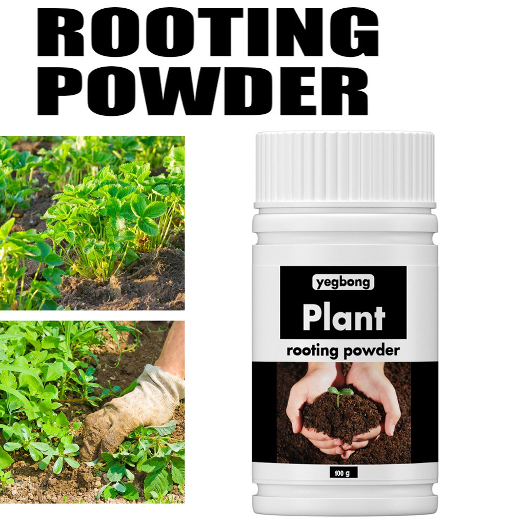 Rooting Powder Fertilizer 100g Hormon Pertumbuhan Akar (Penggalak Akar ...