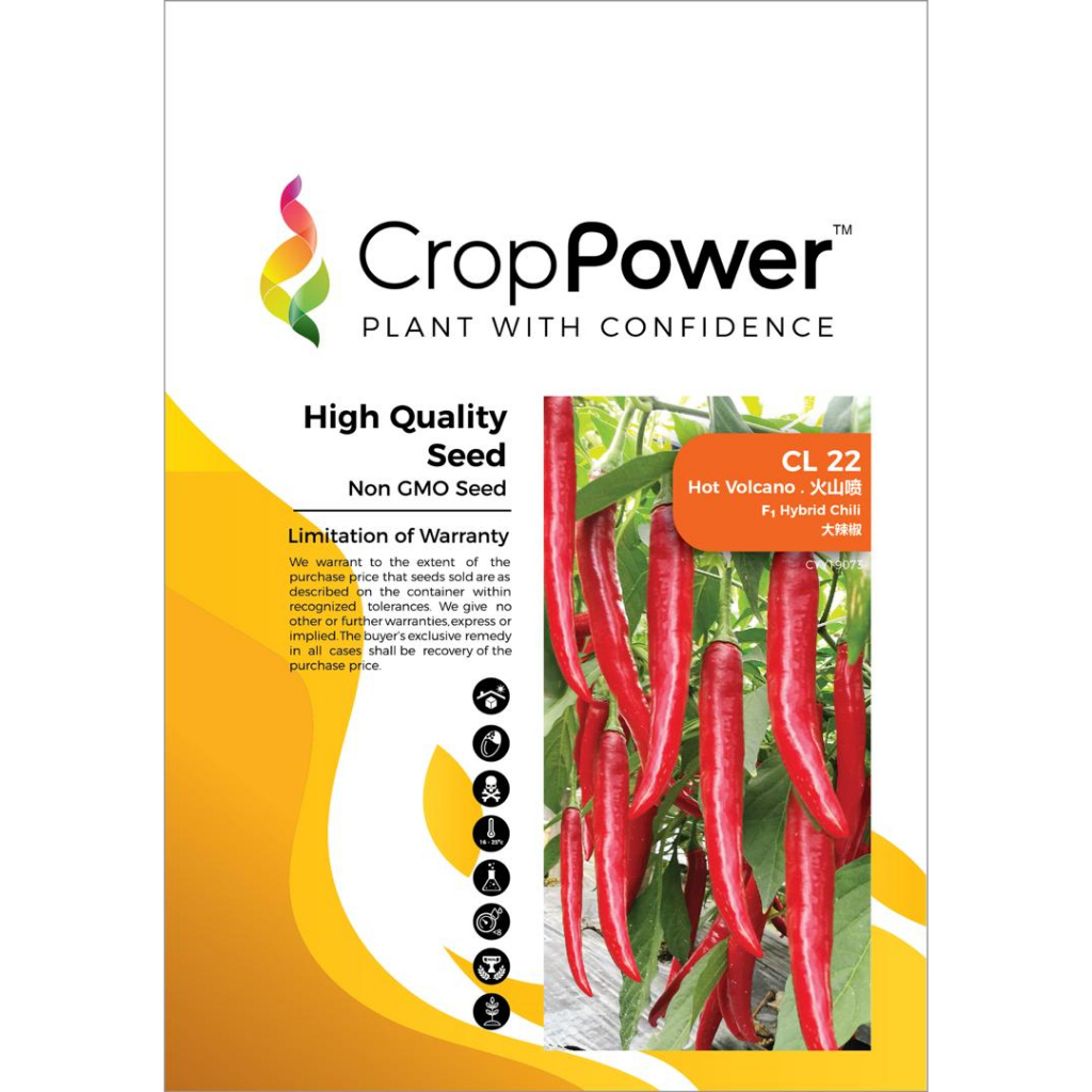 Benih Cili CL22 Hot Volcano F1 Hybrid Chili Crop Power - ( 10g ) 👍 💯 ...