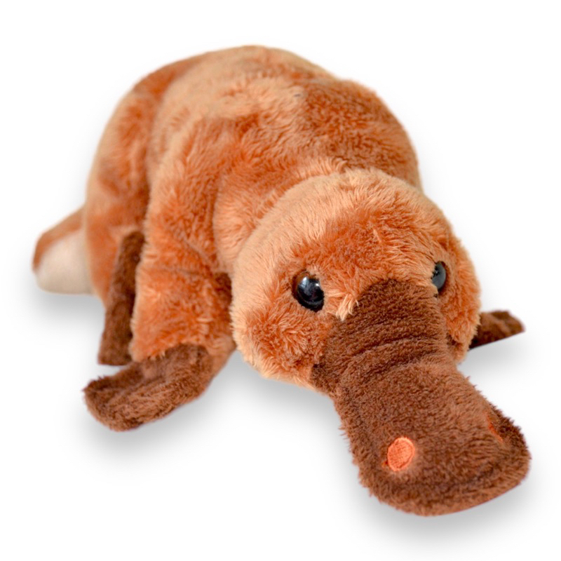 Korimco Lil Friends Platypus Animals Plush Toys | Shopee Malaysia