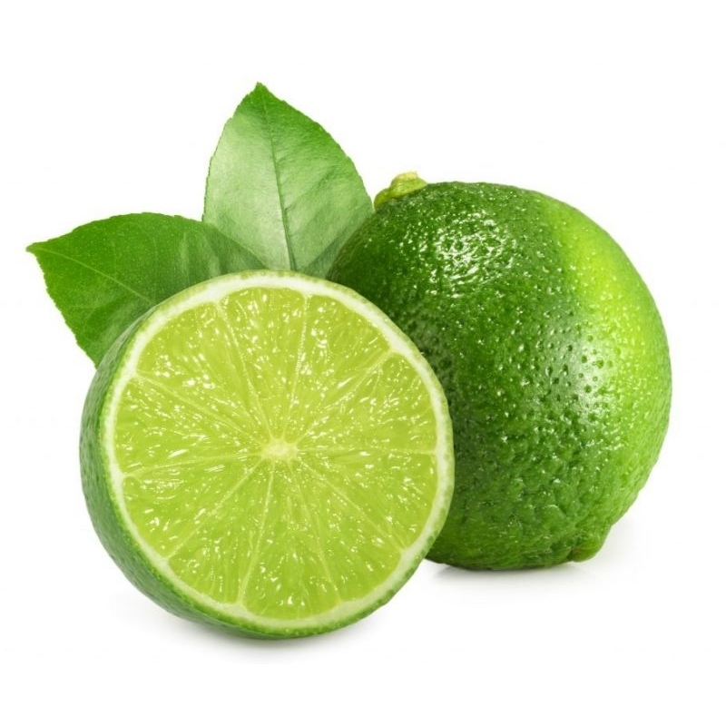 limau nipis besar tak ada biji 1 kg,Key lime without seeds 1 kg ...