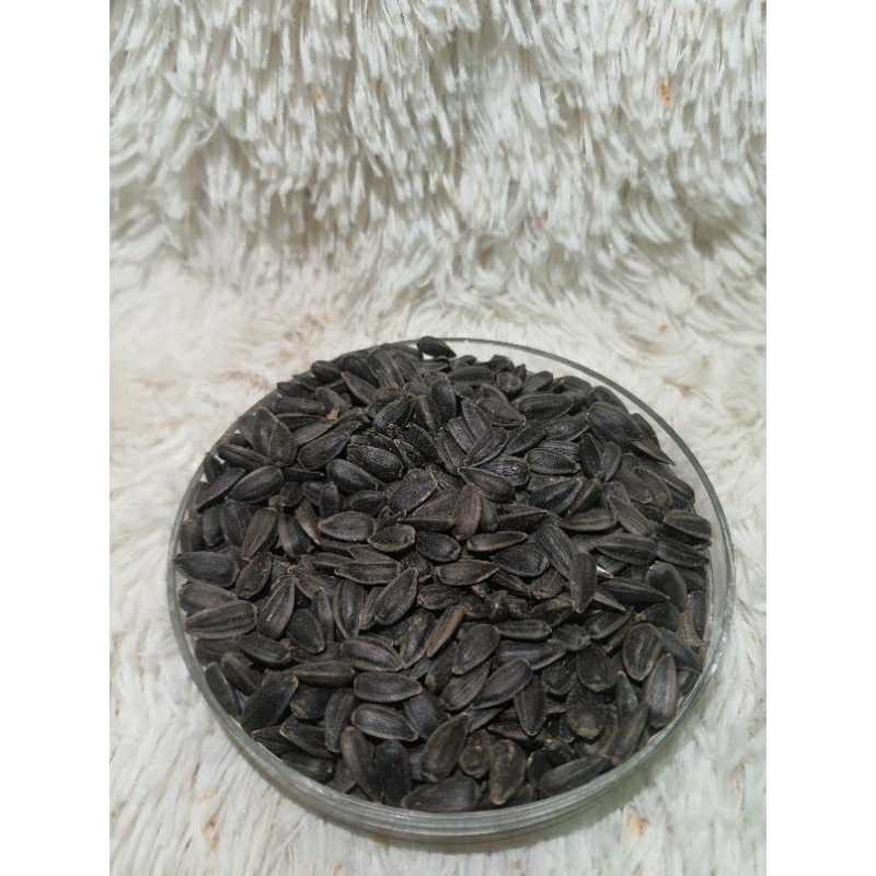 kuaci kecil hitam padat | Shopee Malaysia