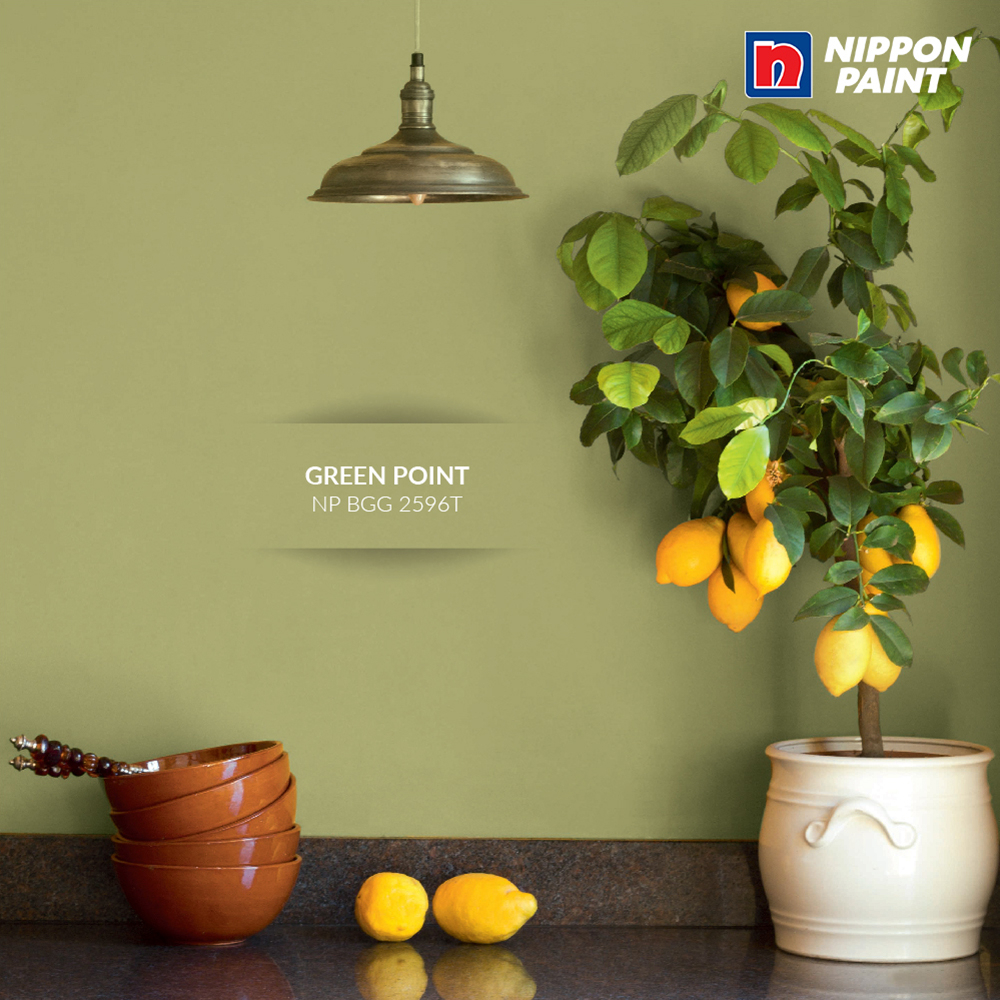 NP BGG 2596 T (1L) NIPPON SATIN GLO Instagram Photo Colour Code ...