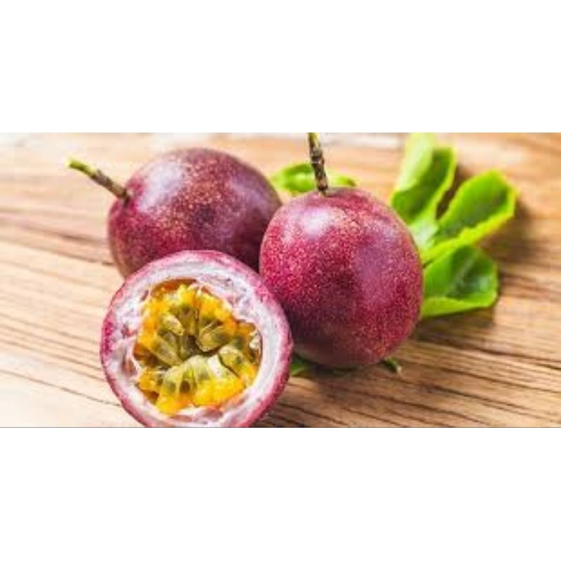 Pokok Markisa/Anak Pokok | Shopee Malaysia