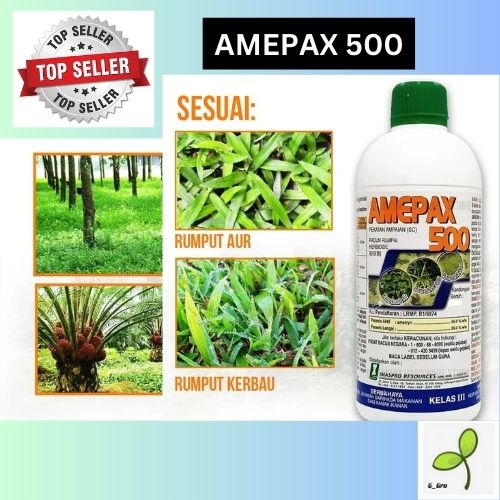 AMEPAX 500 / RUMPUT SAMBAU / HERBICIDE / RACUN RUMPAI / PEKATAN AMPAIAN ...