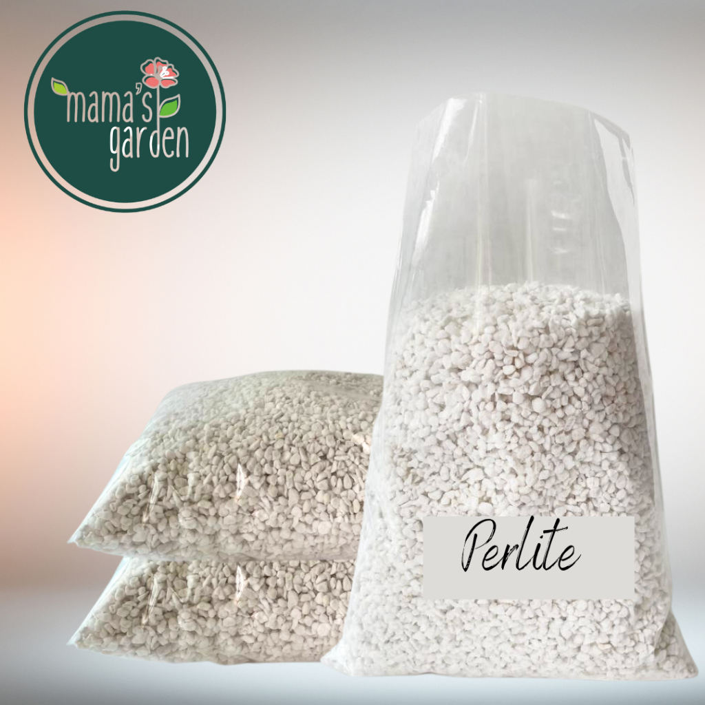 Perlite Premium Grade (2 L +/-) 200 gm -PERFECT for potting soil mix ...