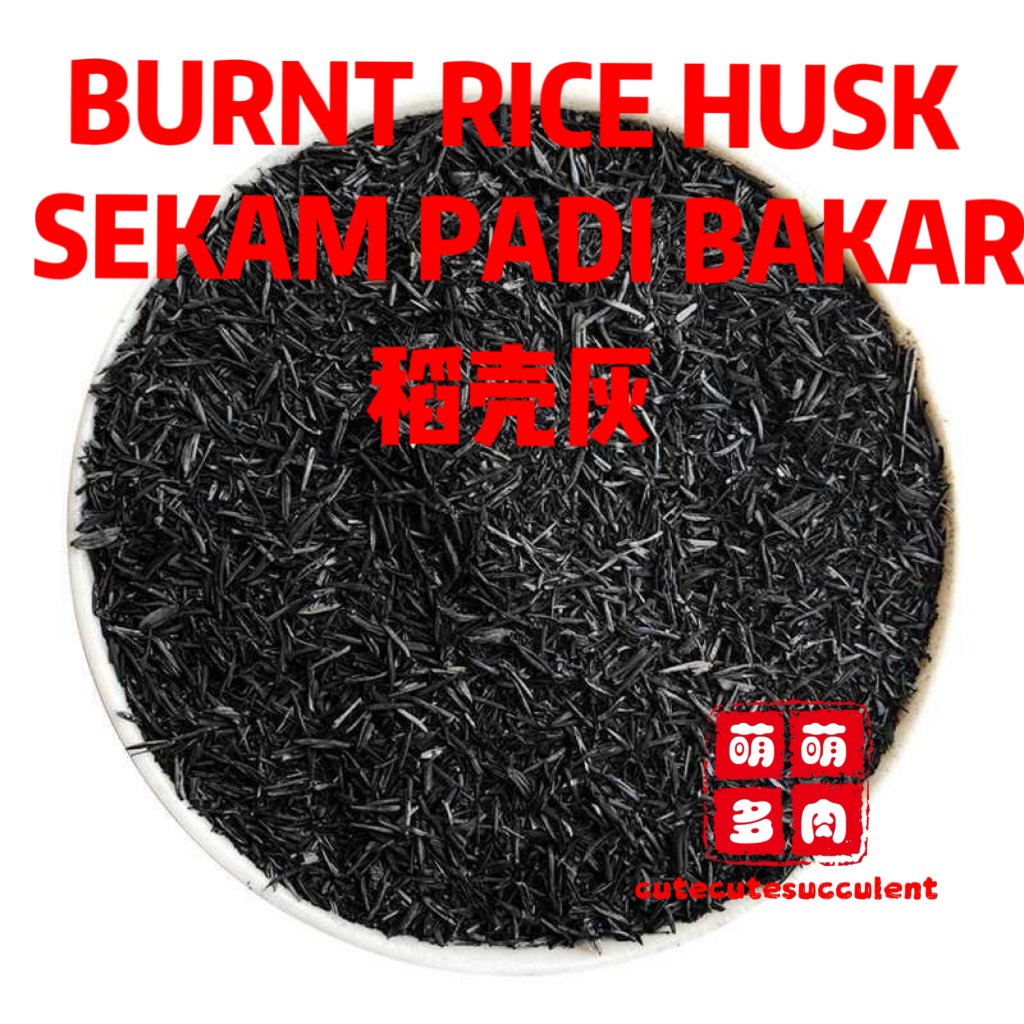 BURNT RICE HUSK 稻壳炭 CHARCOAL POWDER FOR CACTUS SUCCULENT 稻米碳 稻米壳 稻米壳碳 ...