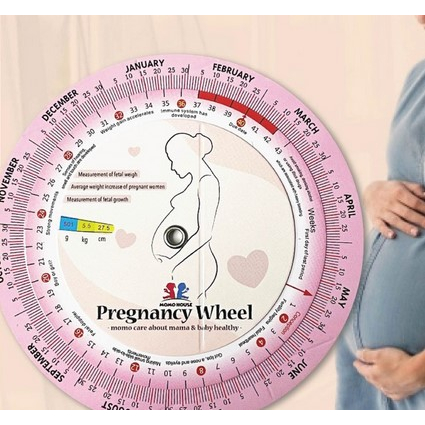 PREGNANCY OBSTETRIC WHEEL - 1pc | Shopee Malaysia