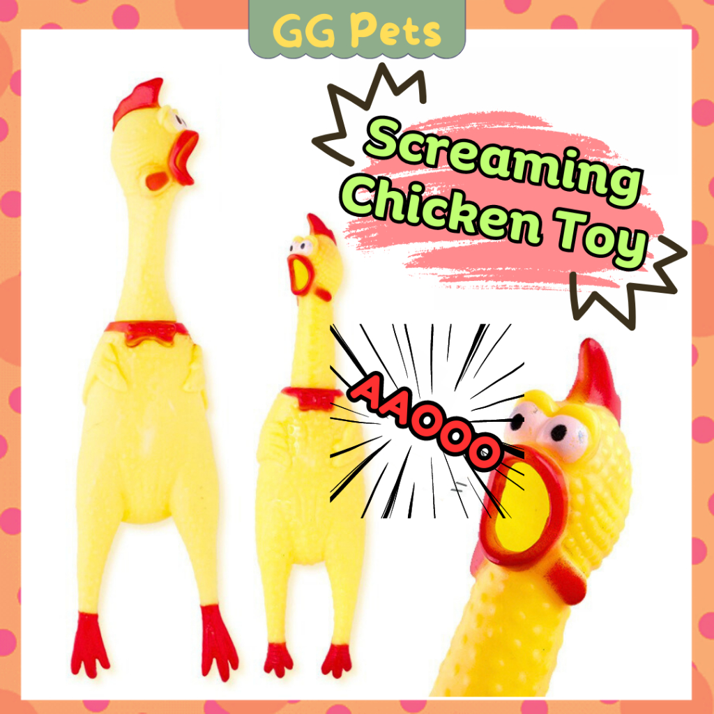 Screaming Rubber Chicken Cat Dog Toy Mainan Kucing 宠物玩具 | Shopee Malaysia