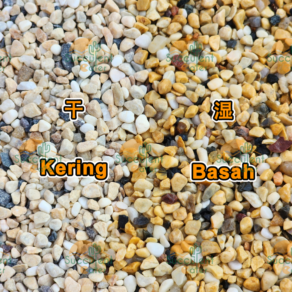 (1kg) Pebble Wash Stone Floor epoxy River Pebble Gardening Landscape ...