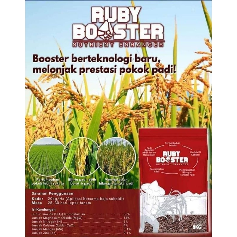 Ruby Booster (Penggalak Pertumbuhan Pokok Padi) | Shopee Malaysia