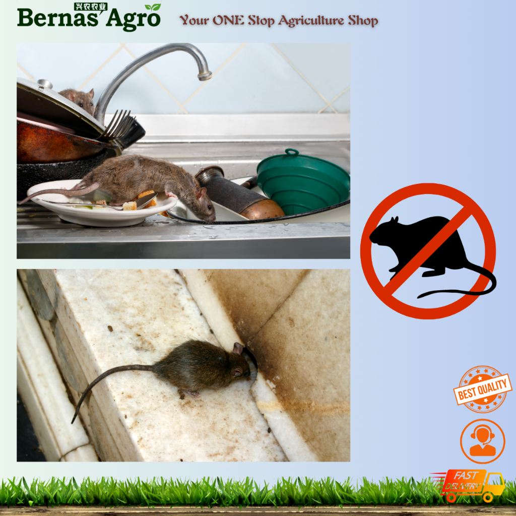 Behn Meyer bm Ratgone Umpan/Ubat Tikus warna biru/Mouse bait sama BASF ...
