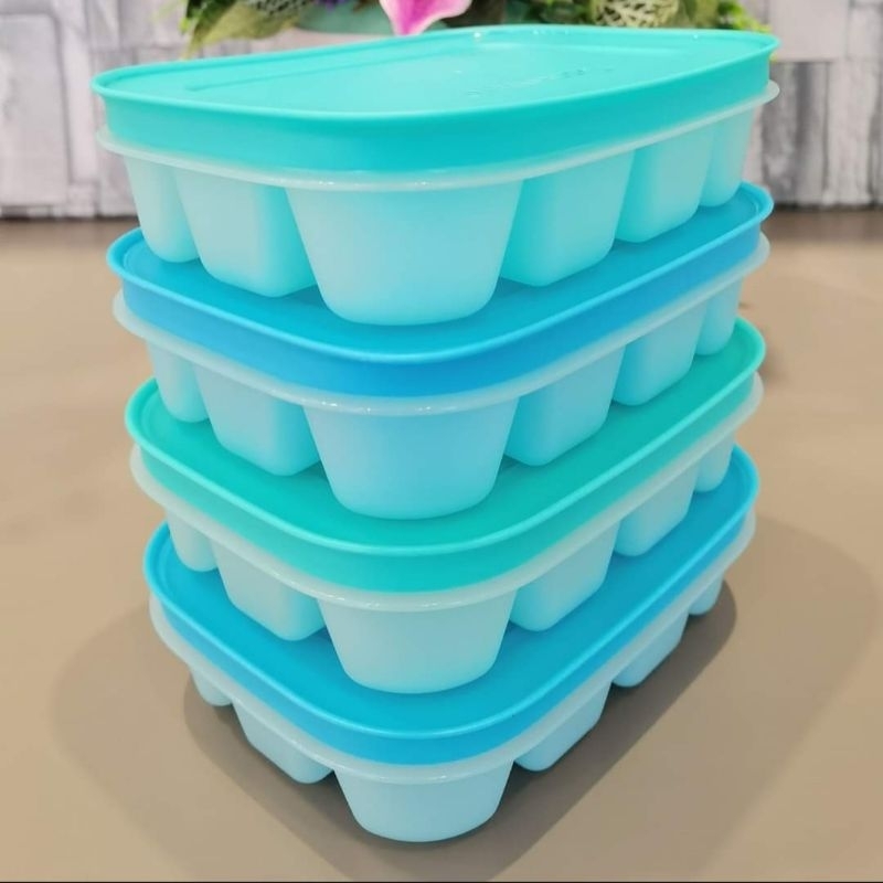 🔥Ice tray Tupperware 160ml 1 pcs🔥 | Shopee Malaysia