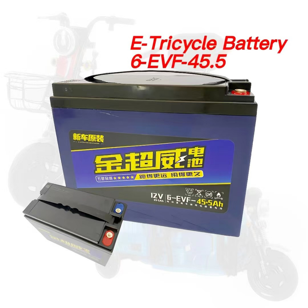 1PCS 12V 45.5AH BATTERY ELECTRIC TRICYCLE SCOOTER 6-EVF-45.5 DZF-45 BATERI BIKE TIGA RODA 45AH ...