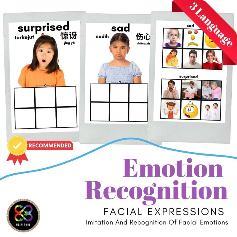 Emotion Recognition (PDF) Facial expression / Imitation / Speech ...