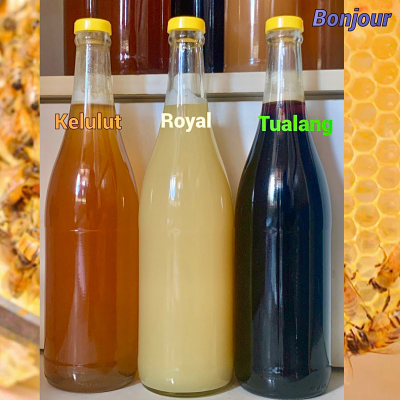 [100% Asli] Madu Kelulut / Madu Tualang/ Madu Royal 1 KG/ 500G | Shopee ...