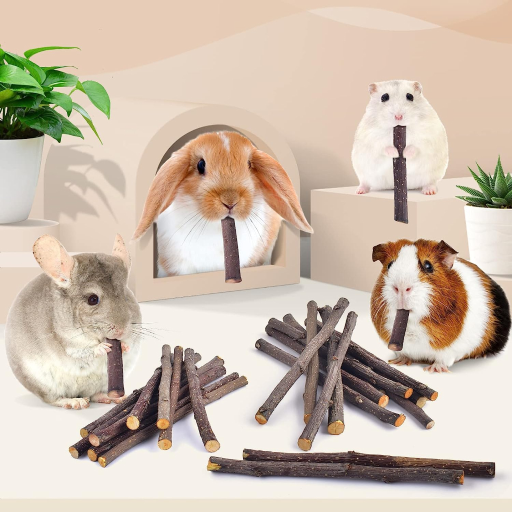 FRESH Apple Stick Branch - Hamster Chew Toy Wood Treat Rabbit Molar ...
