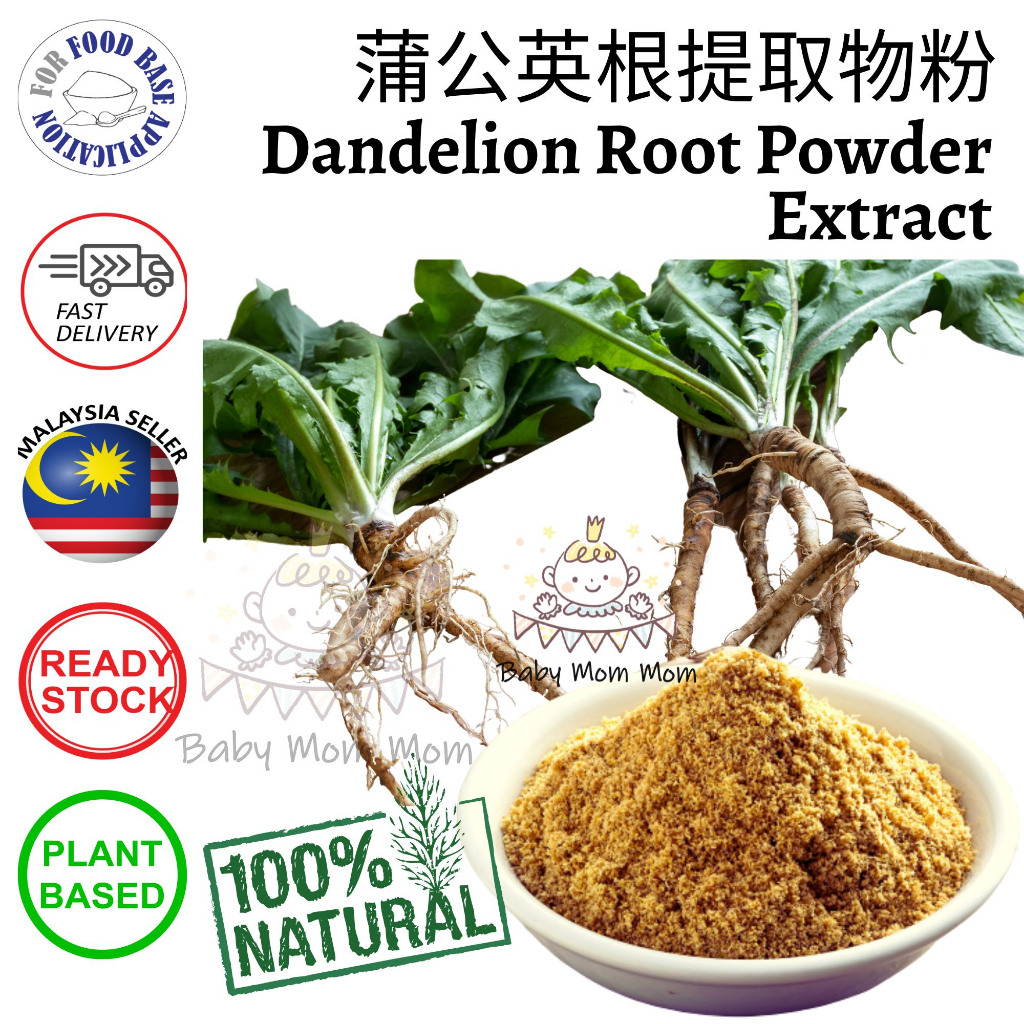 Dandelion Root Extract Powder 蒲公英根粉 ekstrak serbuk akar dandelion ...